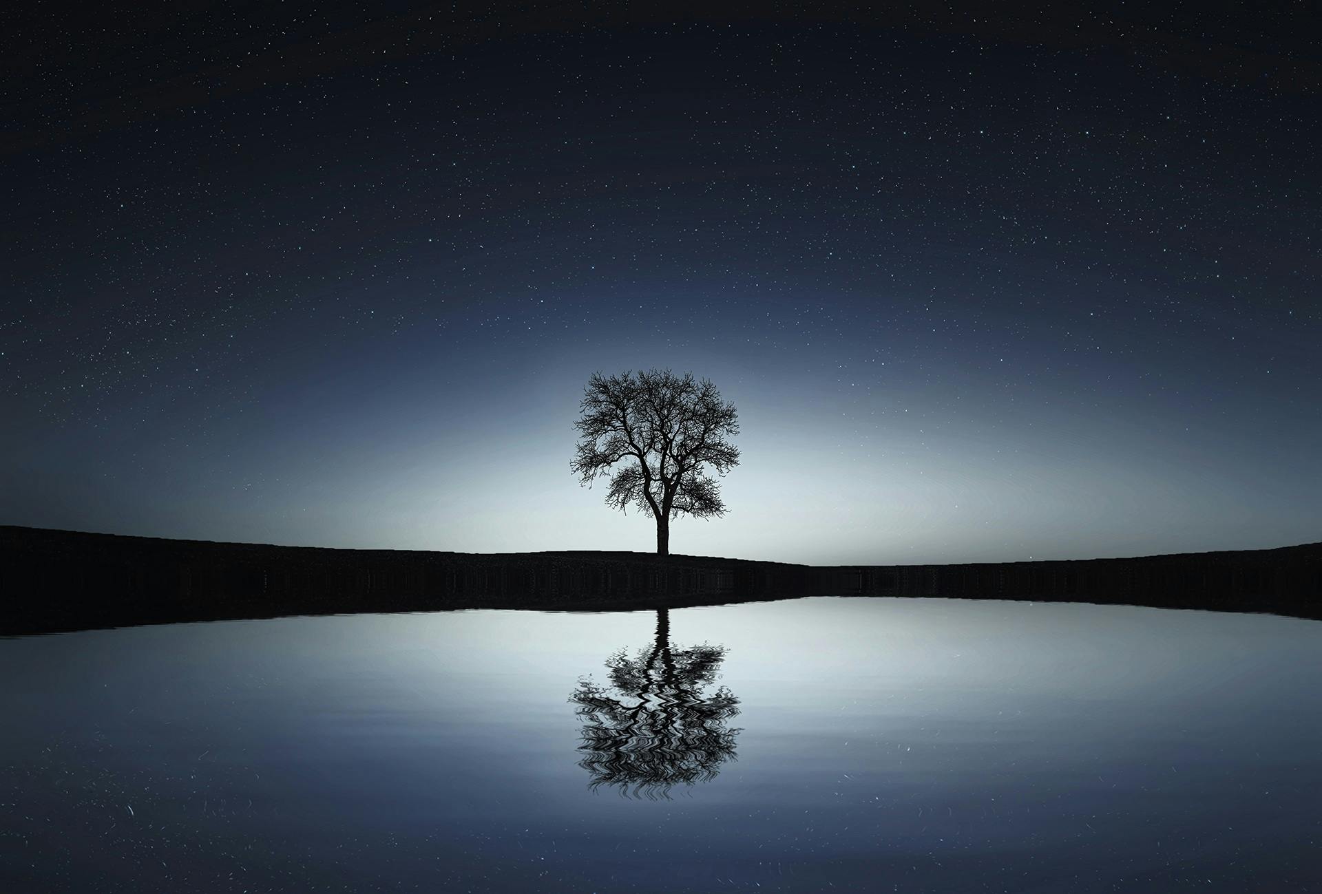 Lumiere High-End Lighting | Elegant, Sustainable, and Eco-Friendly Ill ...